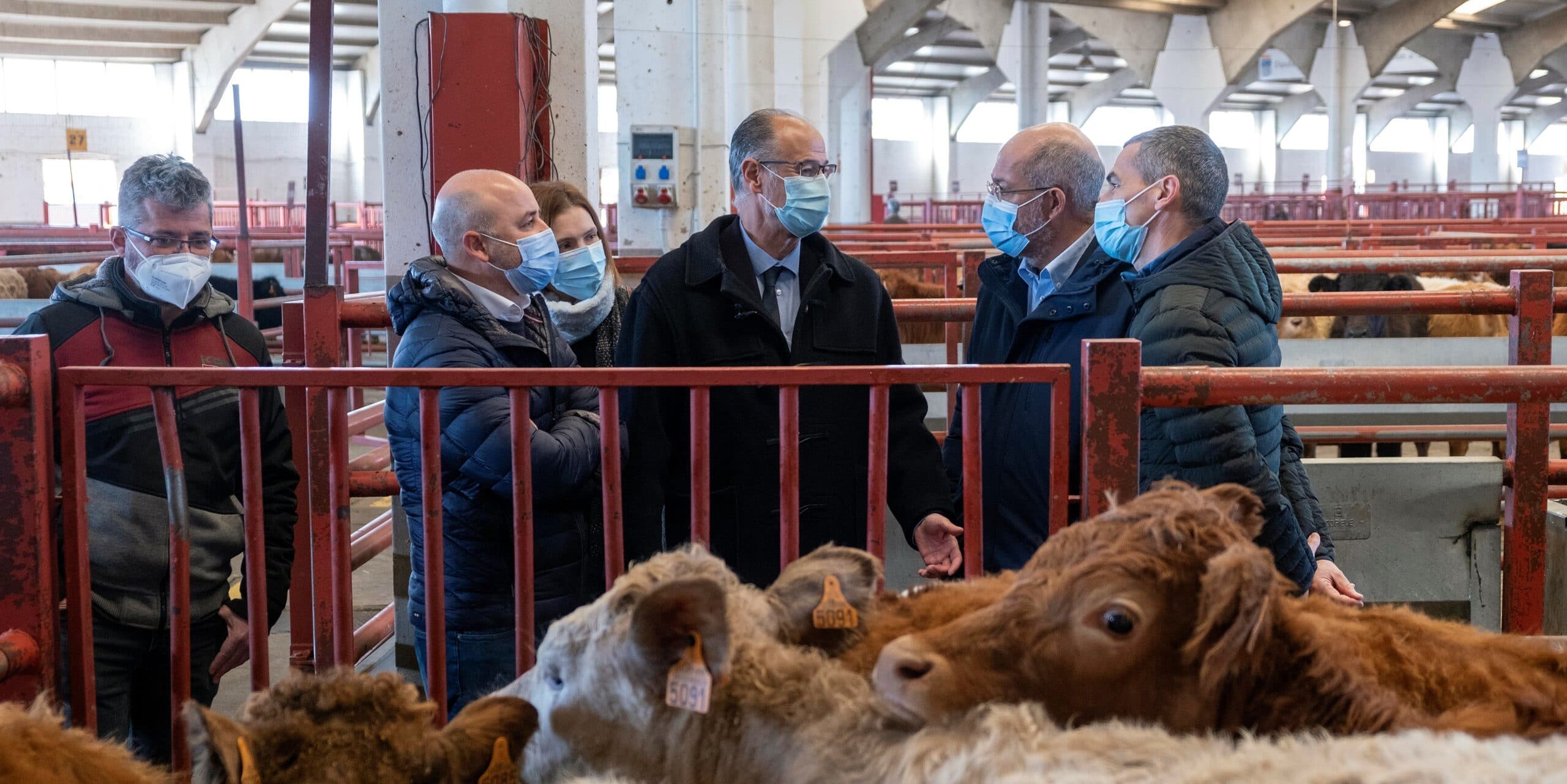 Igea recuerda que las 'macrogranjas' están "reguladas y funcionan bien ...