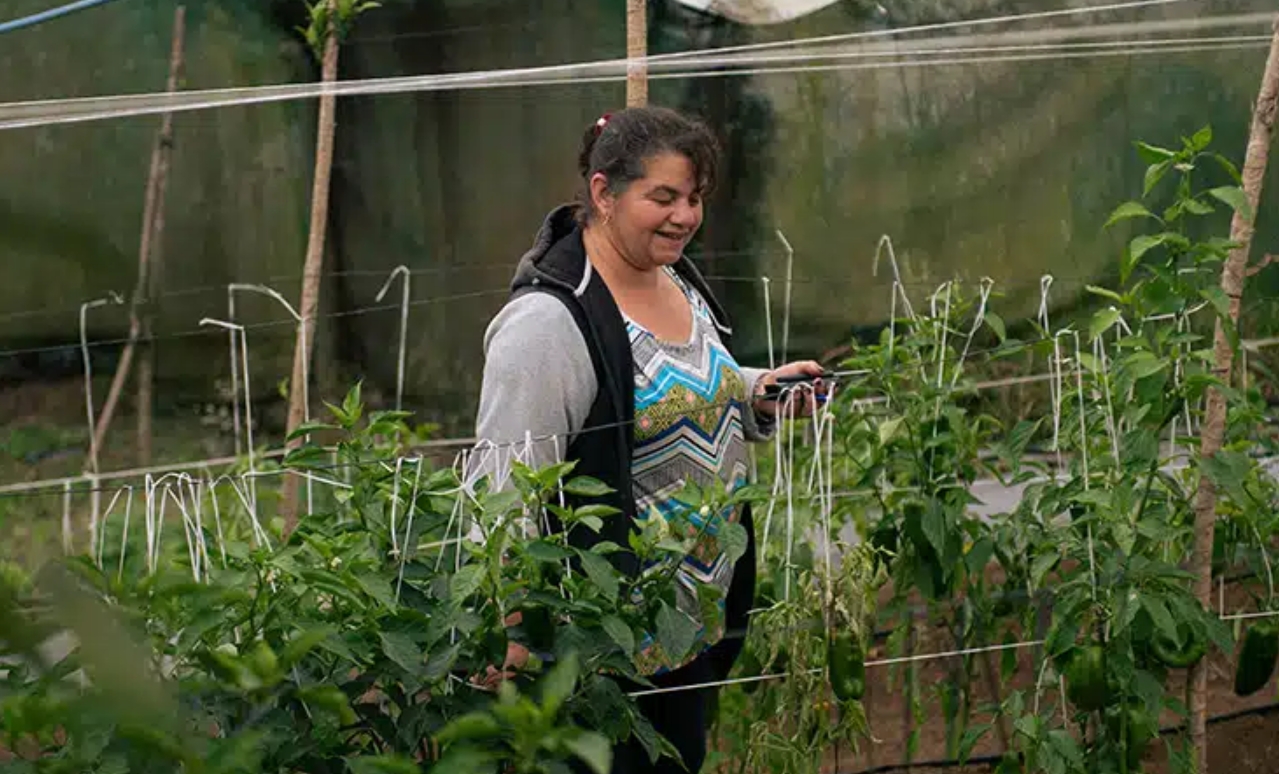 MAPFRE lanza microseguros para proteger a los emprendedores